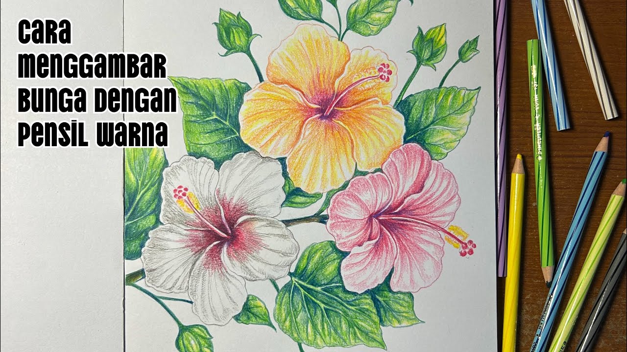 CARA MENGGAMBAR BUNGA CANTIK DENGAN PENSIL WARNA - YouTube