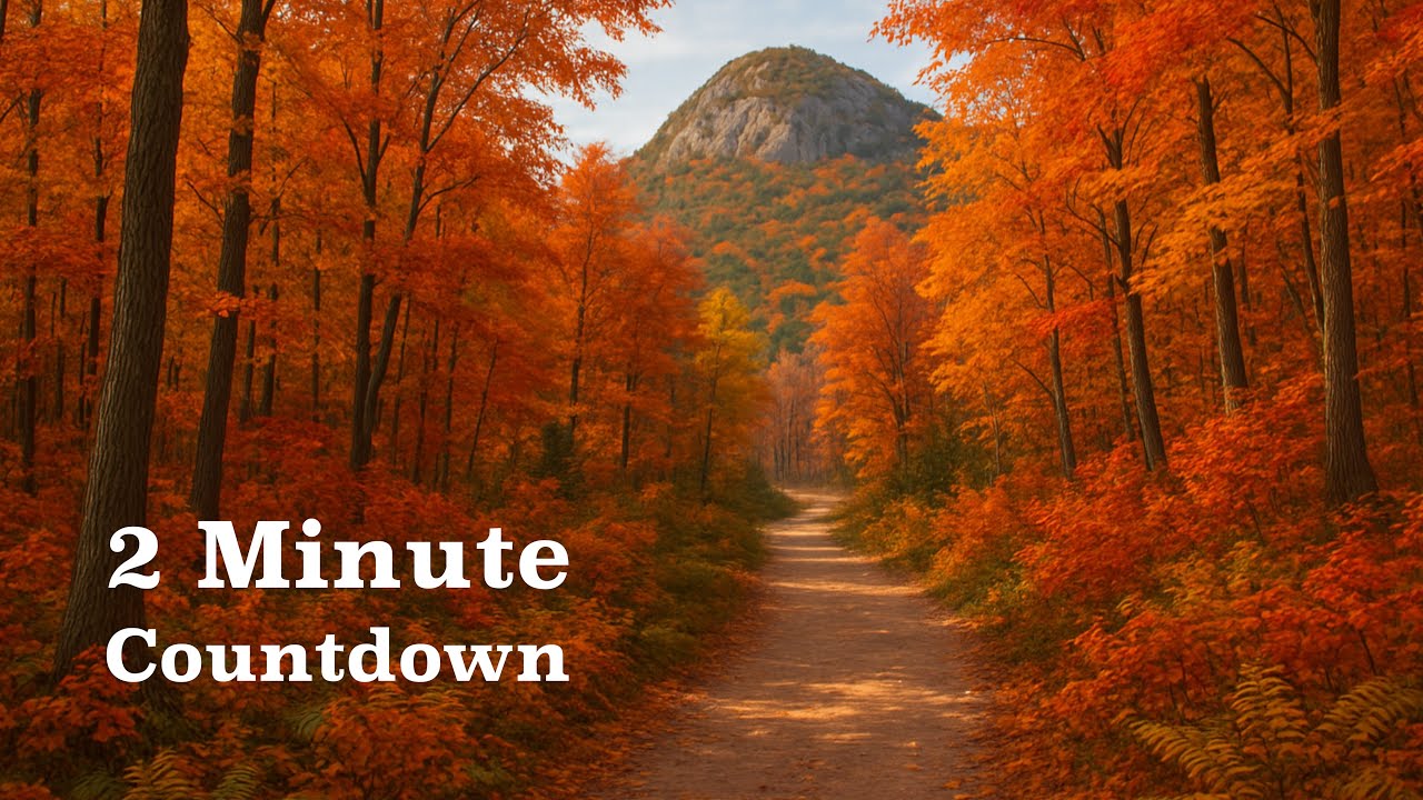 Relaxing Forest Walk | 2 Minute Timer - YouTube