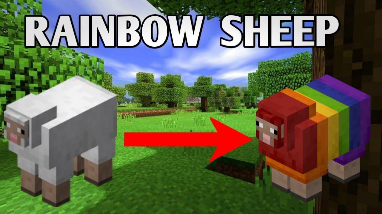 RAINBOW SHEEP tutorial in minecraft ️#minecraft #trending#gaming - YouTube