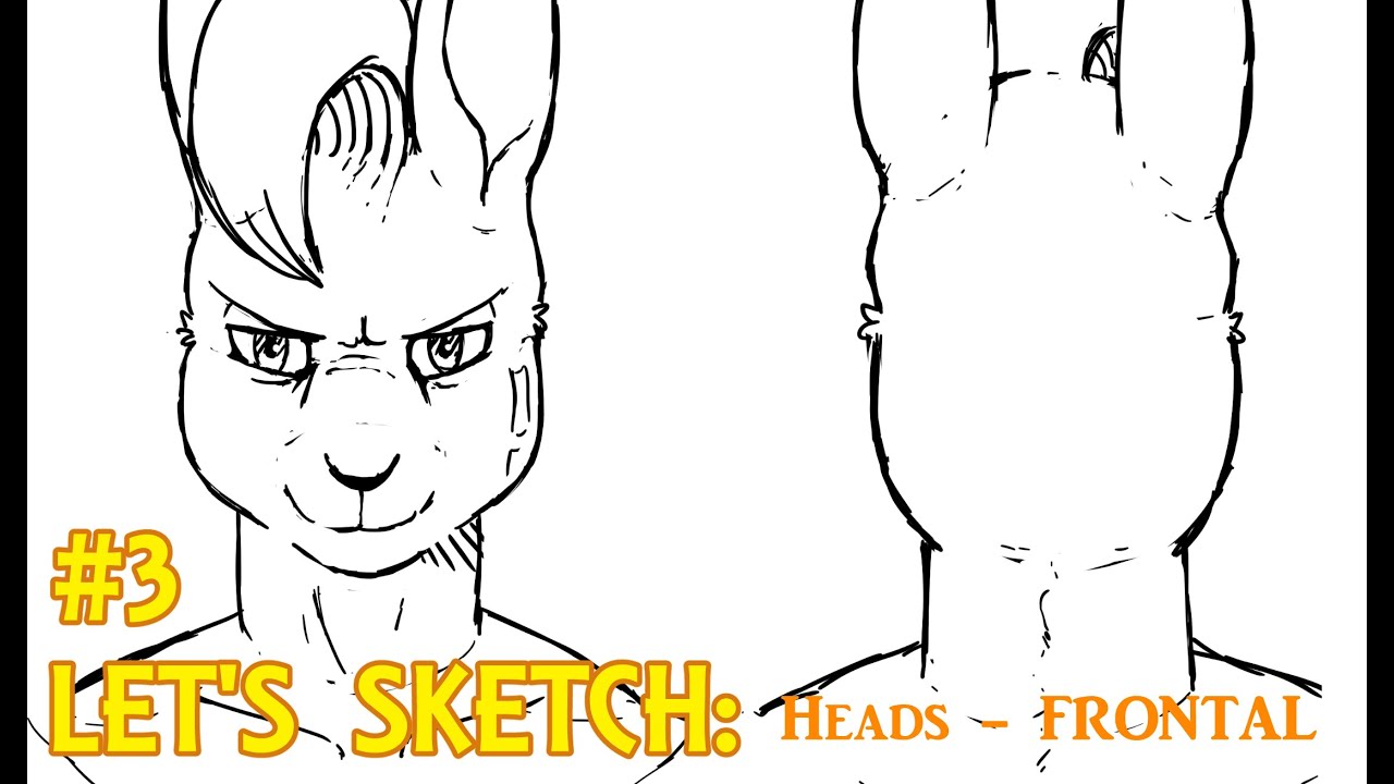 Let's Sketch #3: Anthro/Furry Art, Heads - Front View - YouTube