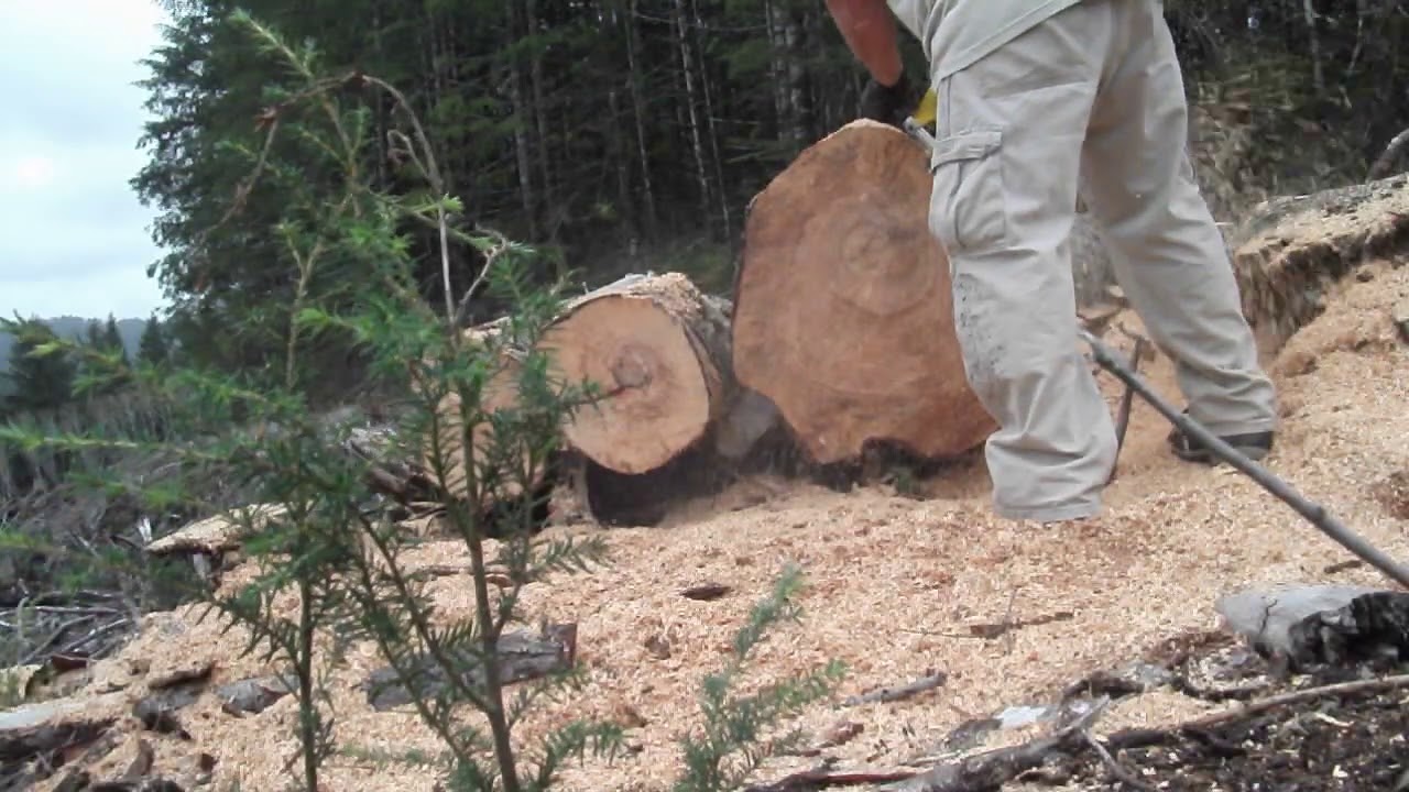 McCulloch Super Pro 125 vintage chainsaw (#13) - YouTube