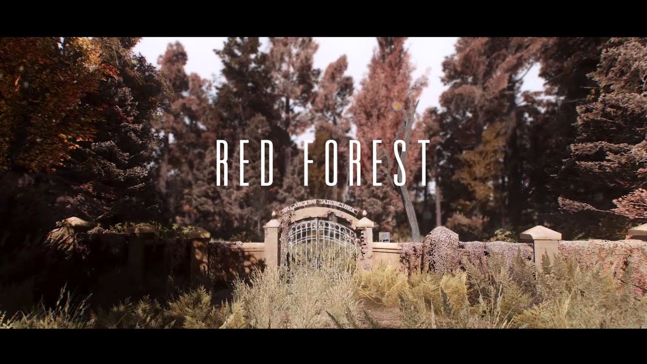 RED FOREST - S.T.A.L.K.E.R. Anomaly - YouTube