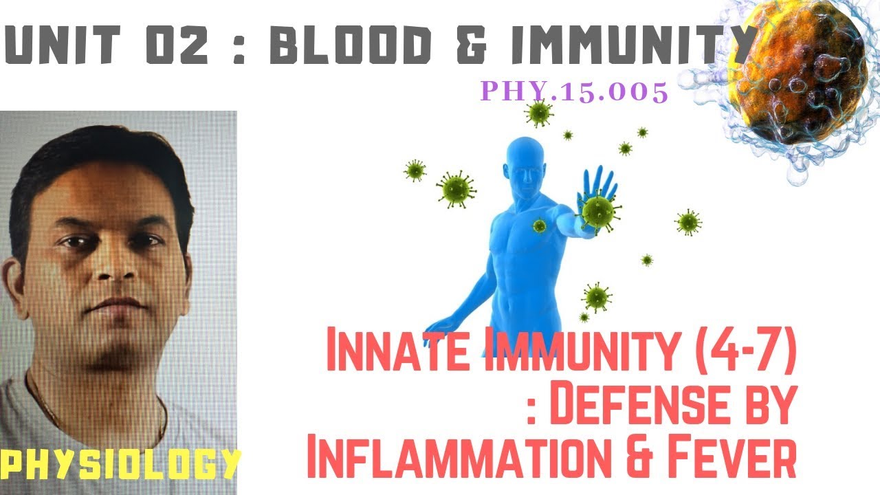 PHY.15.005.Innate Immunity (4-7) – Inflammation & Fever | Dr. Prashant ...