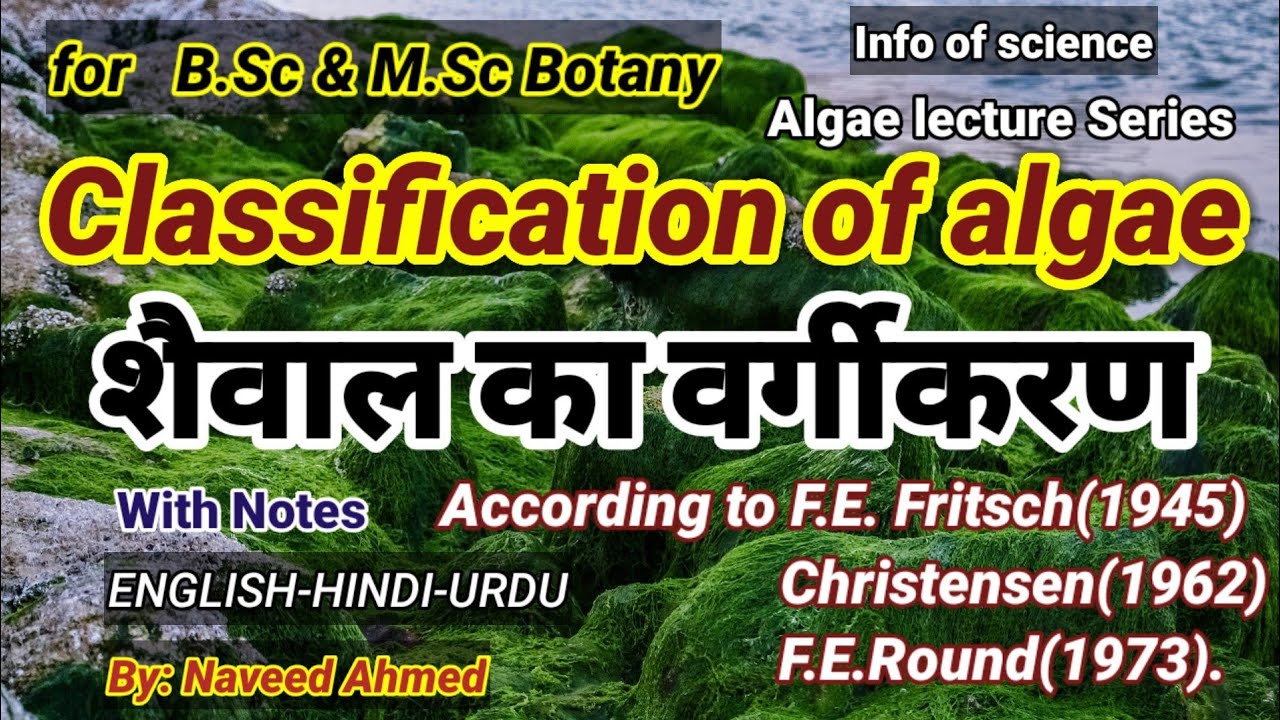 Classification of algae by FE Frictch | Algal classification | BSc 1st year - YouTube