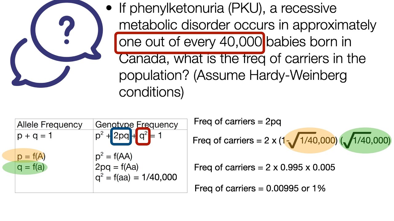 Hardy Weinberg Example 3 - YouTube