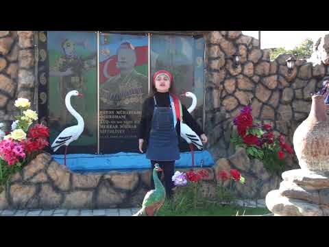 Qarabağ Azərbaycandı Fatimə Niftəliyeva (şeir)