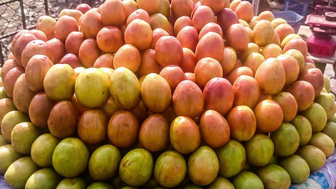 indian palm ( jujubes fruits) benefits . bair ke faidei - YouTube