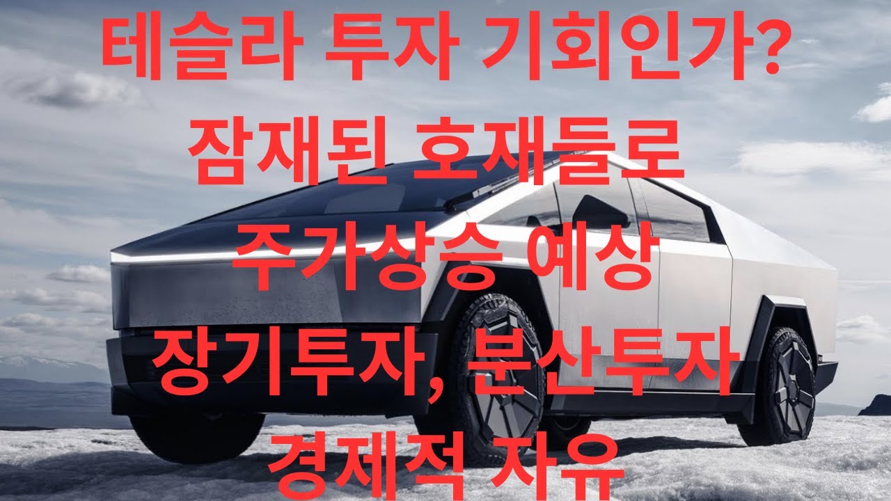 주식투자 테슬라 투자 기회인가ㅣ테슬라 분석ㅣ잠재된 호재로 주가상승 가능성 ㅣ장기투자ㅣ분산투자 ㅣ경제적 자유 Youtube