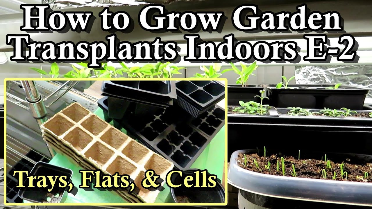 How to Grow Garden Transplants Indoors on A Budget: E-2 Containers ...