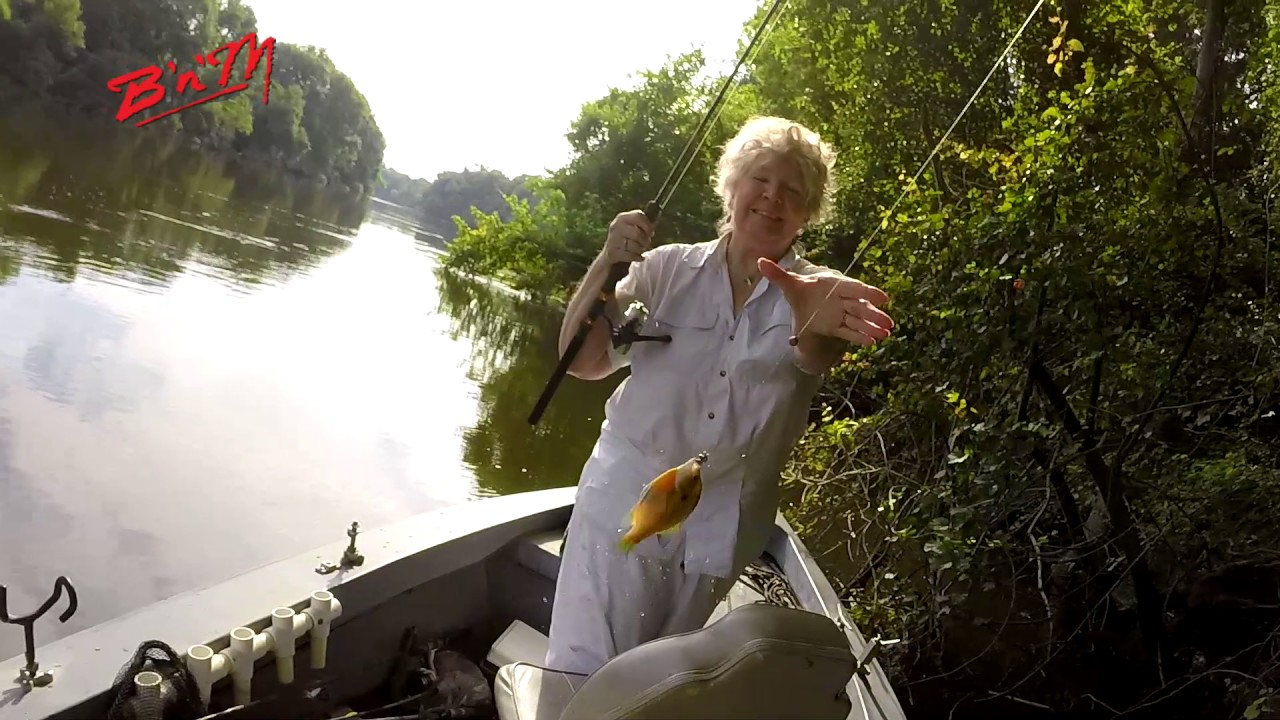 Fishing the River 2017! Lots of Bluegill & Catfish action! - YouTube