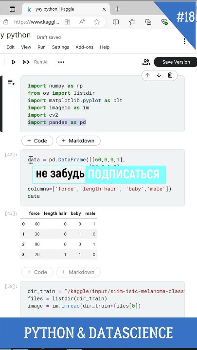 Урок 18. Python видео уроки для начинающих. Python с нуля. #pythonbeginner #datascience - YouTube