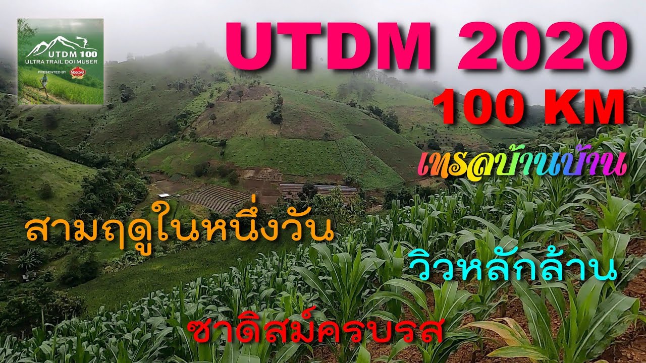 UTDM 2020 เทรลสามฤดูในหนึ่งวัน วิวหลักล้าน ซาดิสม์ครบรส วิ่งบนดอยมูเซอ ...
