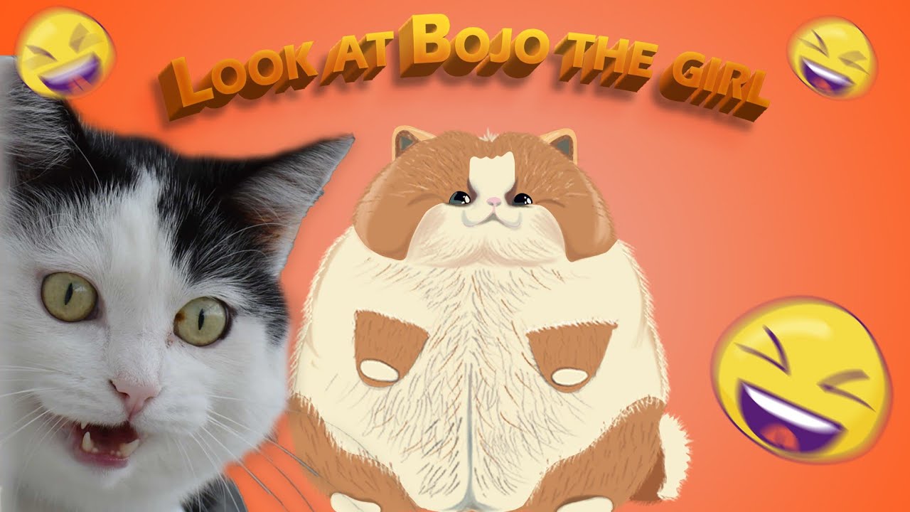 😂 Captain Bojo's Funniest Cat Videos Try Not to Laugh Challenge! - YouTube