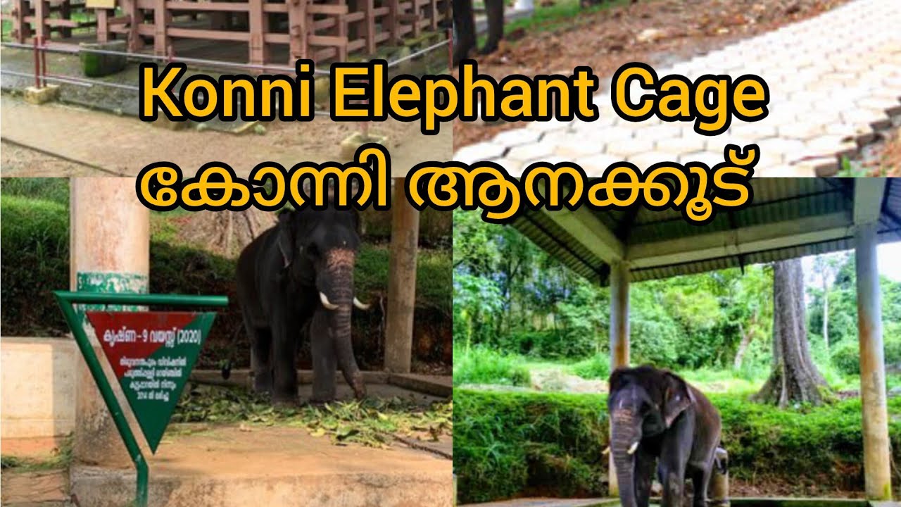 🐘Elephant cage konni pathanamthitta #travel - YouTube