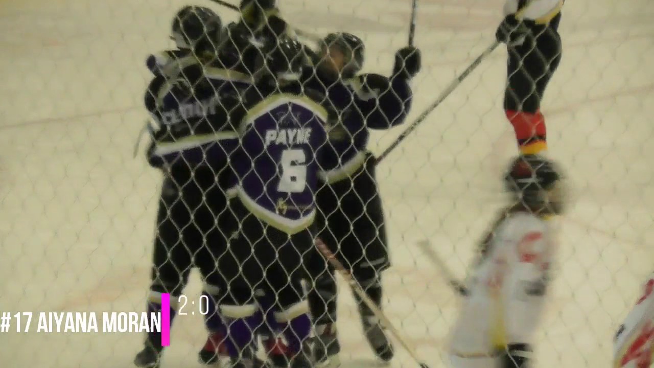 MK Falcons Playoff finals in Sheffield - YouTube