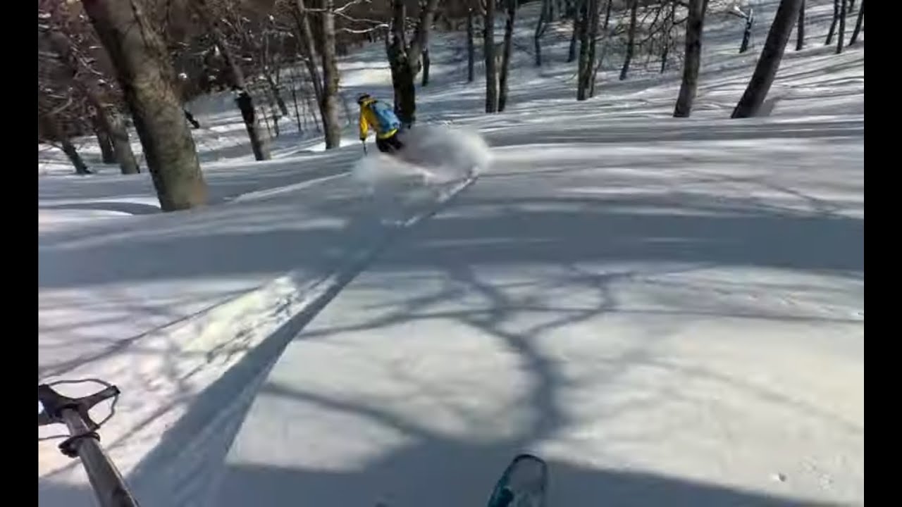 Bratt flanke - så i hockey over flata - finale med uoppkjørt skog tett ...
