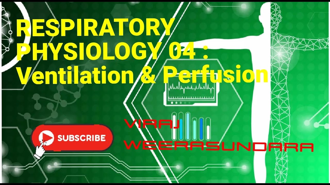 RESPIRATORY PHYSIOLOGY 04 : Ventilation and Perfusion - YouTube