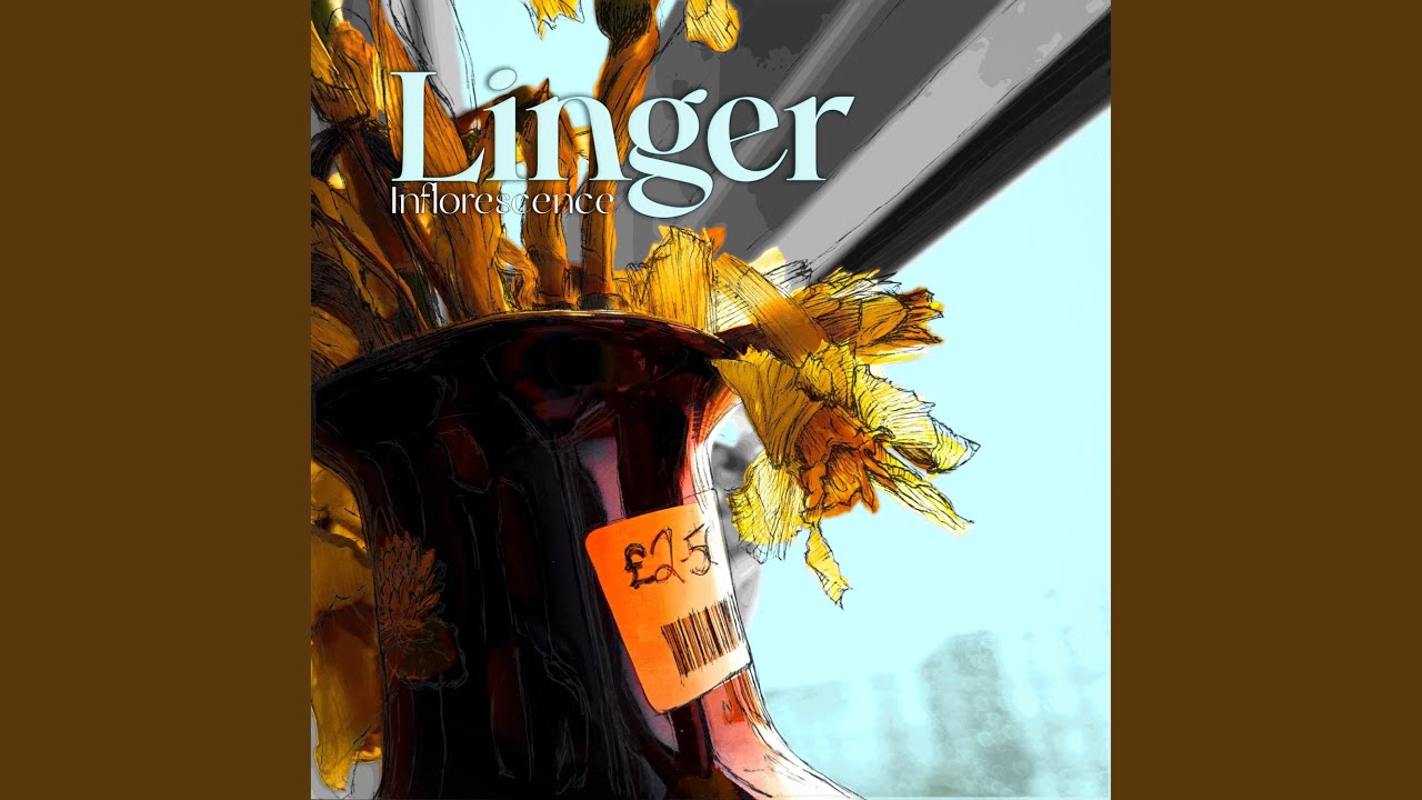 Linger (Acoustic Version) - YouTube
