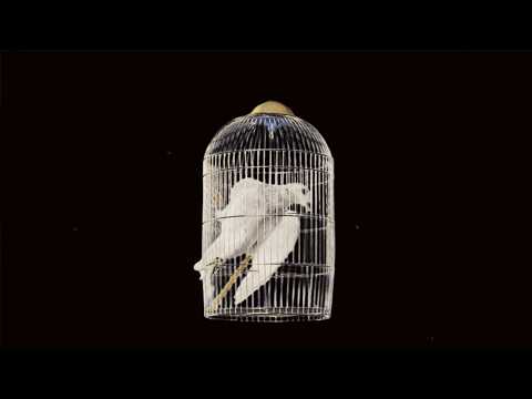 SF9 2nd Album [TENACITY] TRAILER FILM
