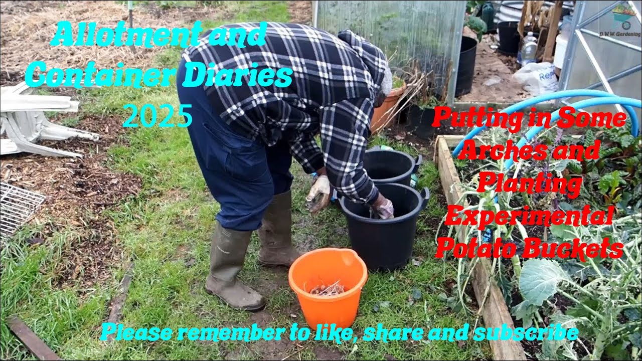 D.W.W. Gardening 2025 - Building Arches and Planting Spuds in Buckets ...