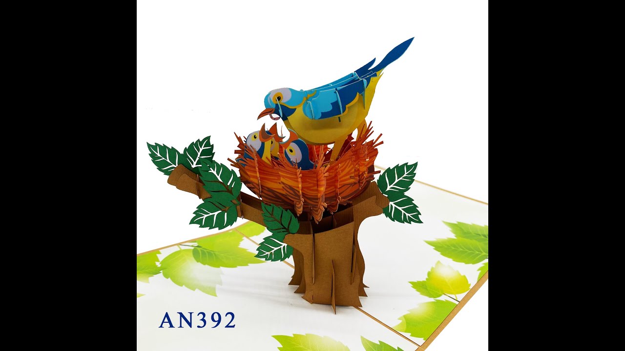 Birds Family Pop Up Card - YouTube
