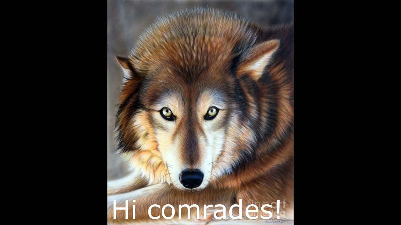 Become a wolf shapeshifter spell. Prayer to Dianae - YouTube