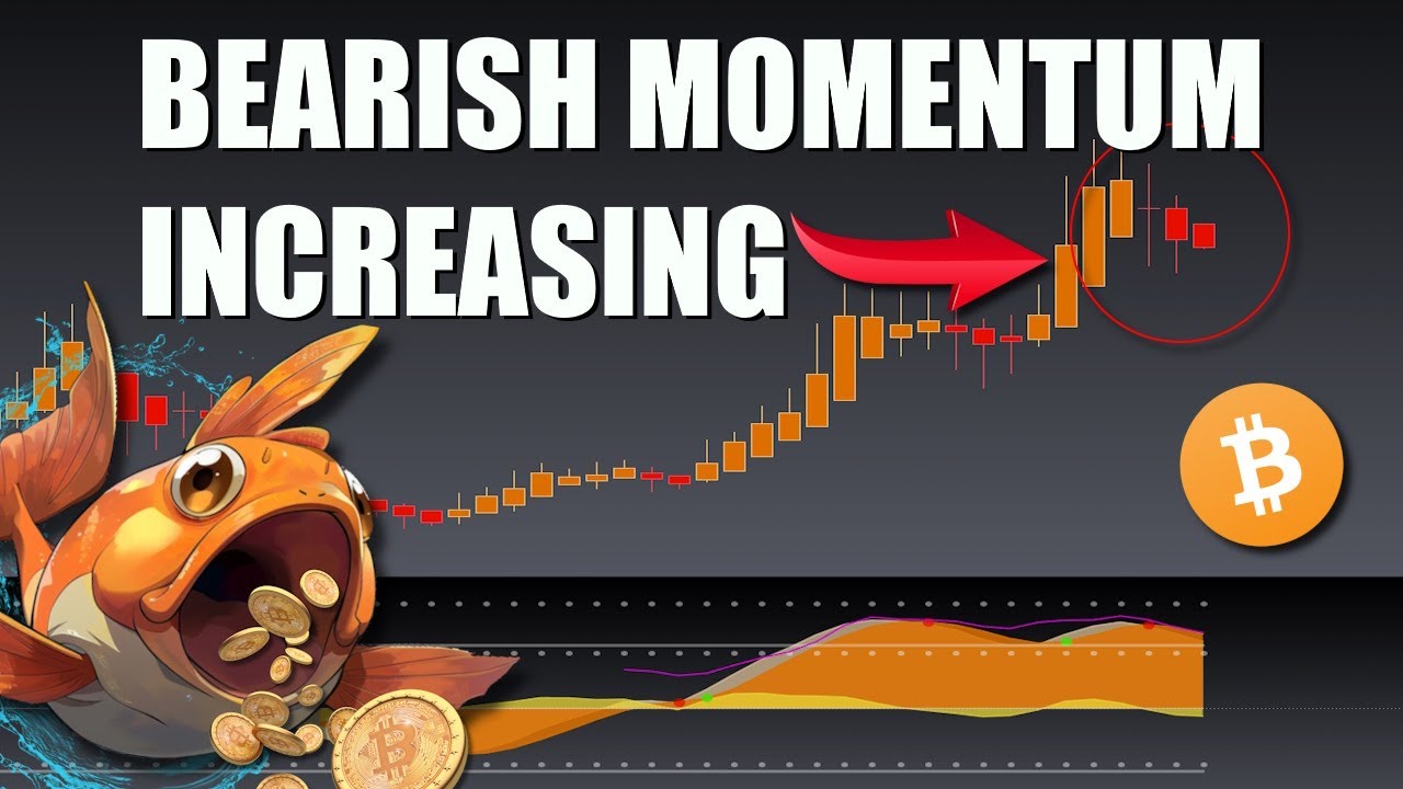 LIVE Market Cipher B Basic Strategy Review - YouTube