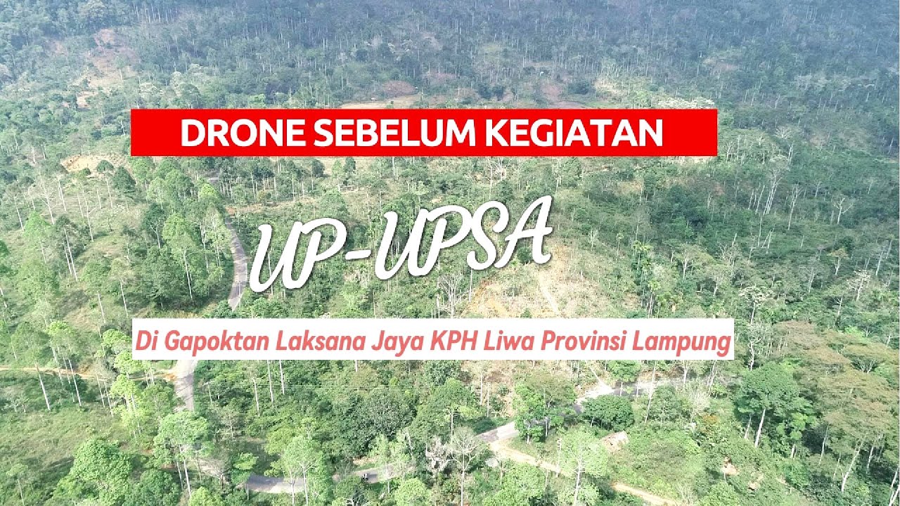 Drone Sebelum Kegiatan UP-UPSA di Gapoktan Laksana Jaya - YouTube