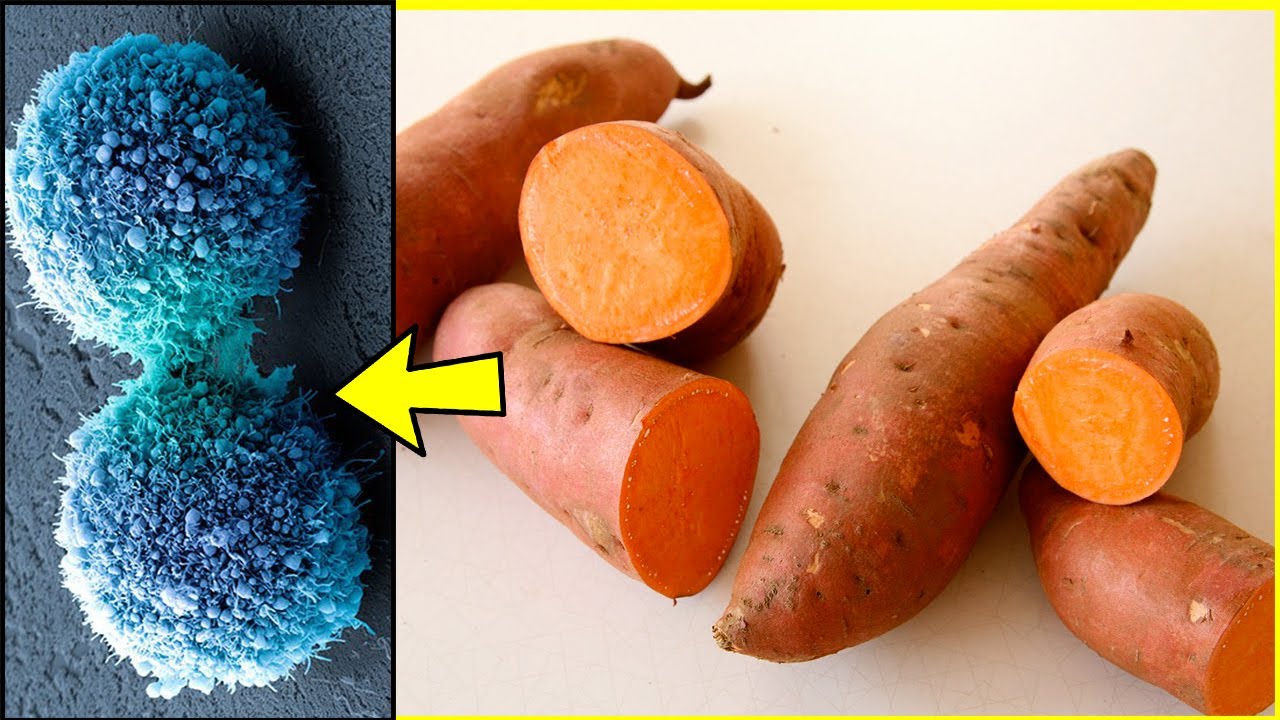Sweet Potatoes Is Super Food – Protein In Sweet Potato Can Destroy ...