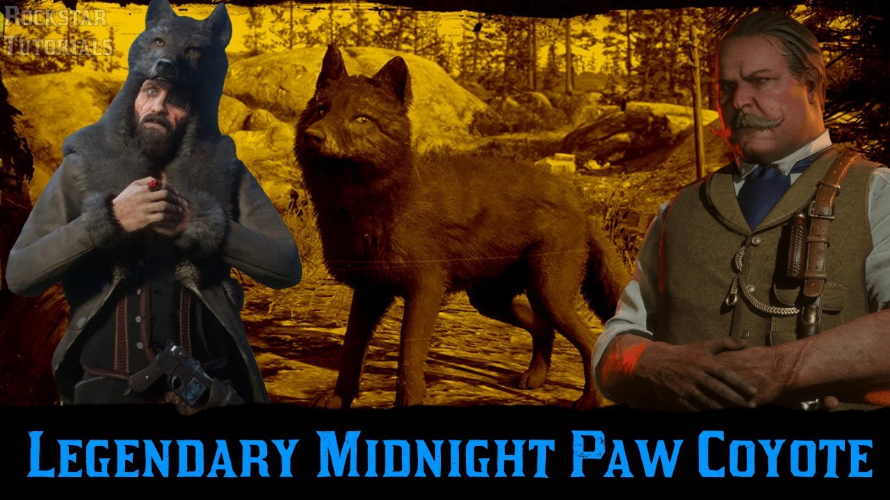 Red Dead Online - Legendary Midnight Paw Coyote - YouTube