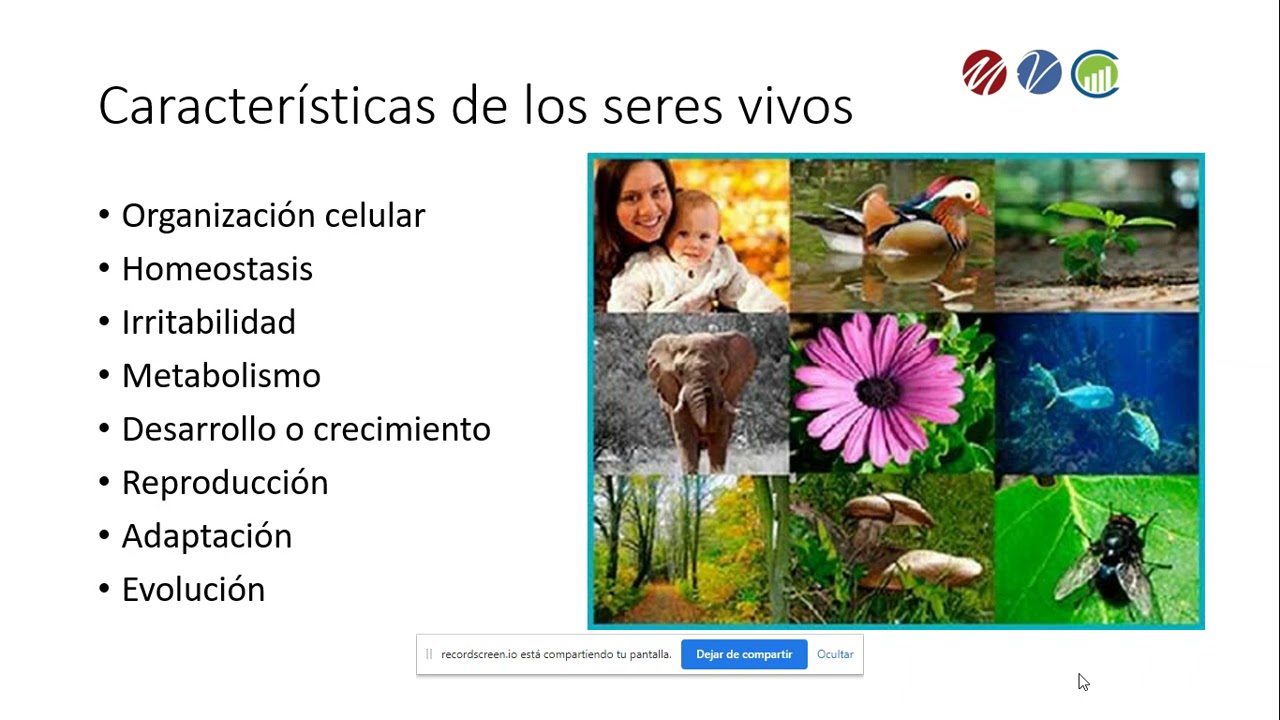 1AS-BIO-Introducción sobre los seres vivos - YouTube