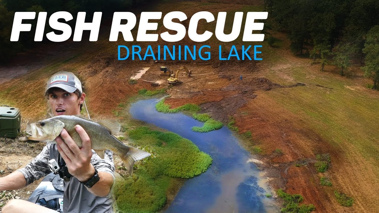 SAVING FISH FROM DRAINING LAKE!! (Rescue Mission) - YouTube