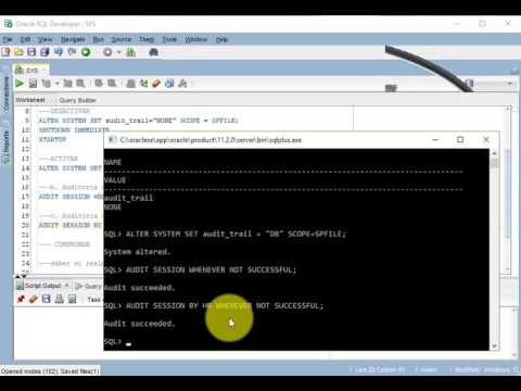 Como hacer una auditoria en oracle 2016 - YouTube