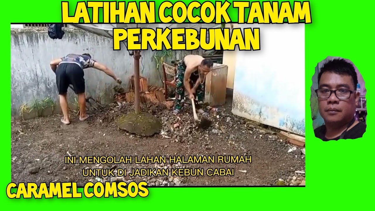 latihan cocok tanam perkebunan - YouTube