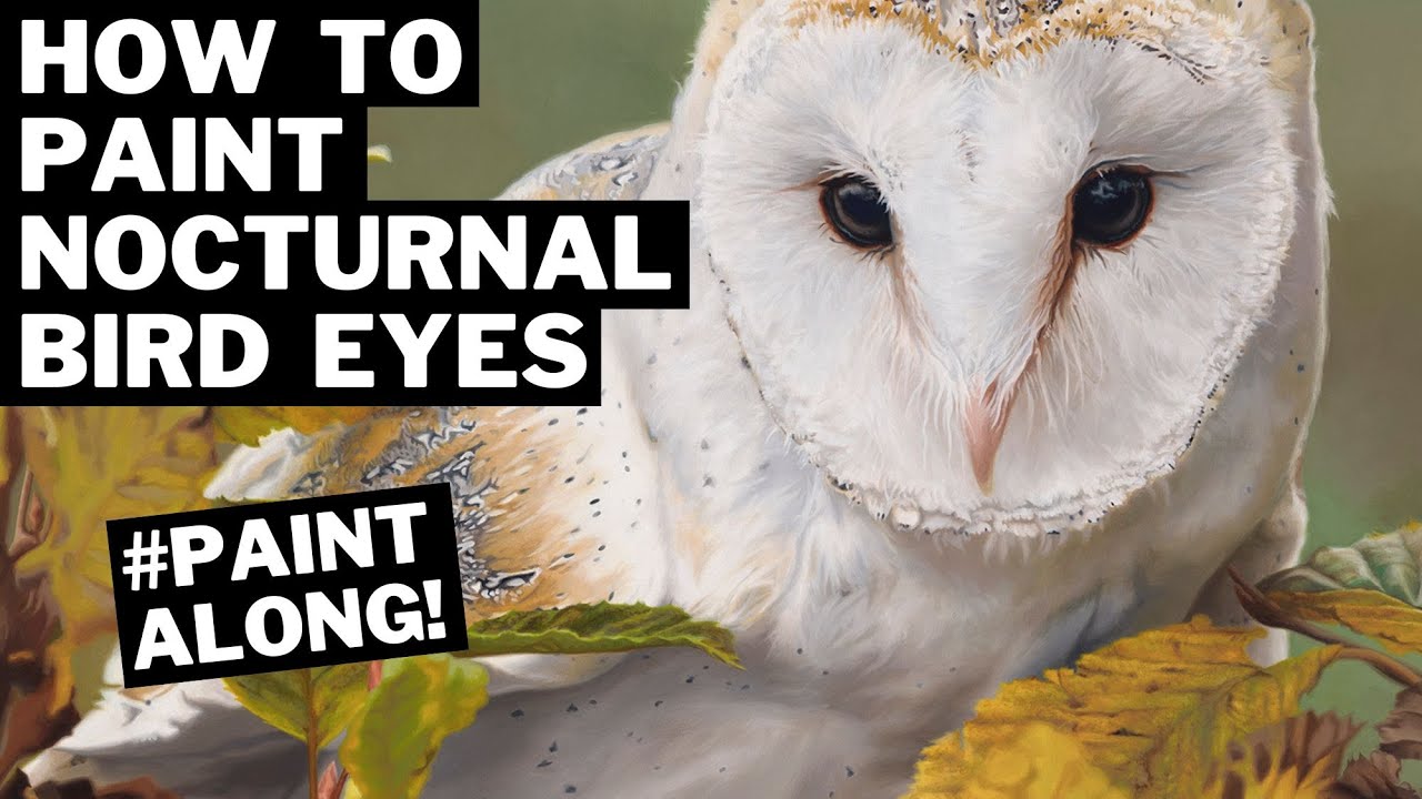 How to Paint Nocturnal Bird Eyes #birdpainting #oilpaintingtutorial ...