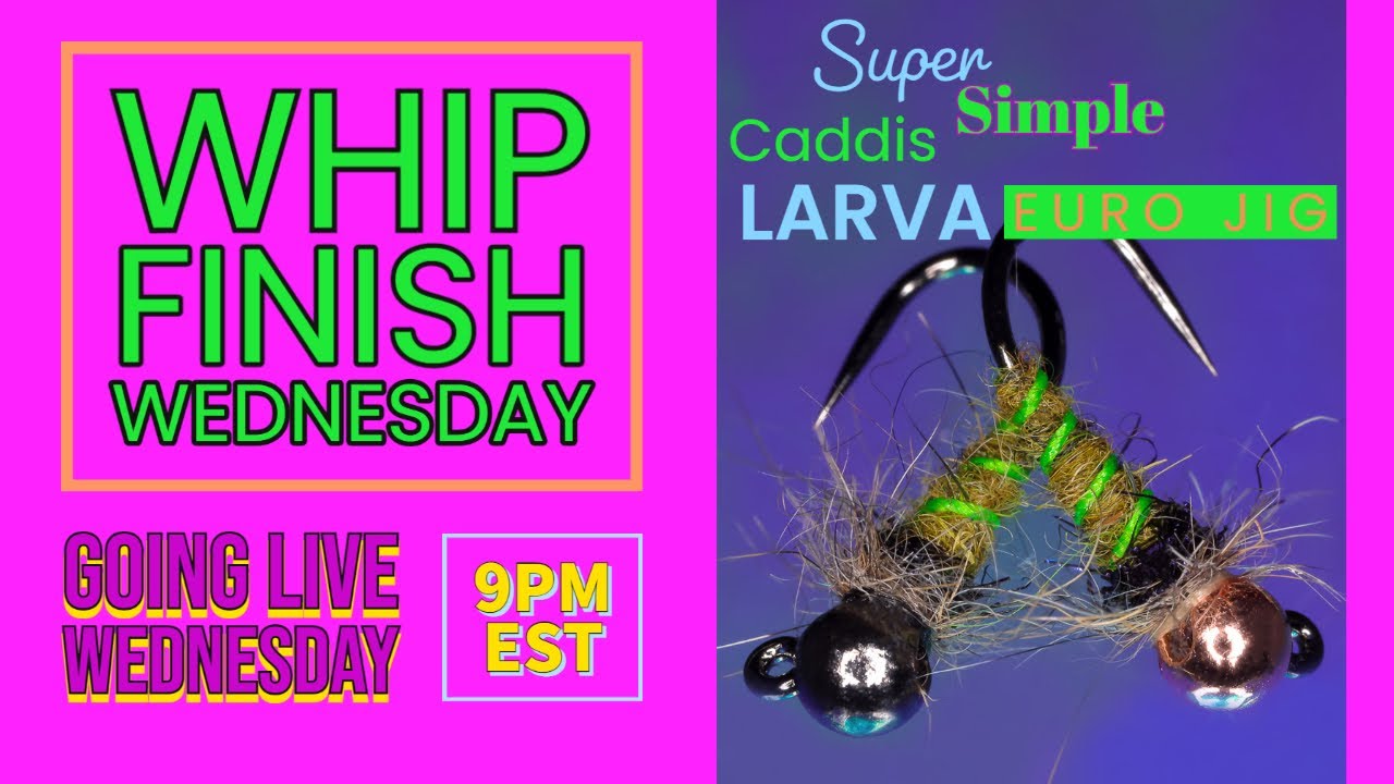 How To Fly Tying: Super Simple Caddis Larva Euro Jig--Live on Whip ...