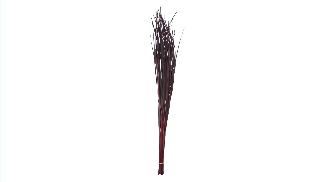 Vickerman 28” Brown Splinter Grass 11 oz, H2SPG800 - YouTube