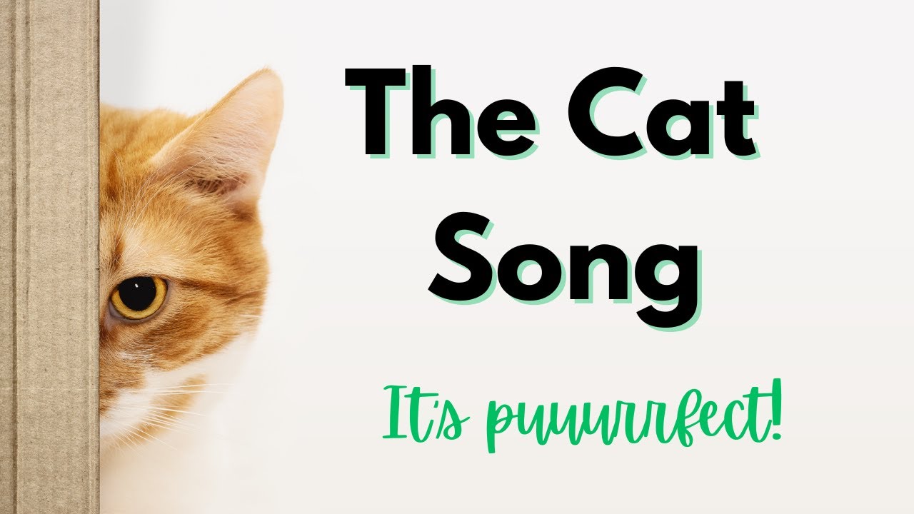 The Cat Song! So "Cat"chy! Featuring Cute Cat Moments! - YouTube