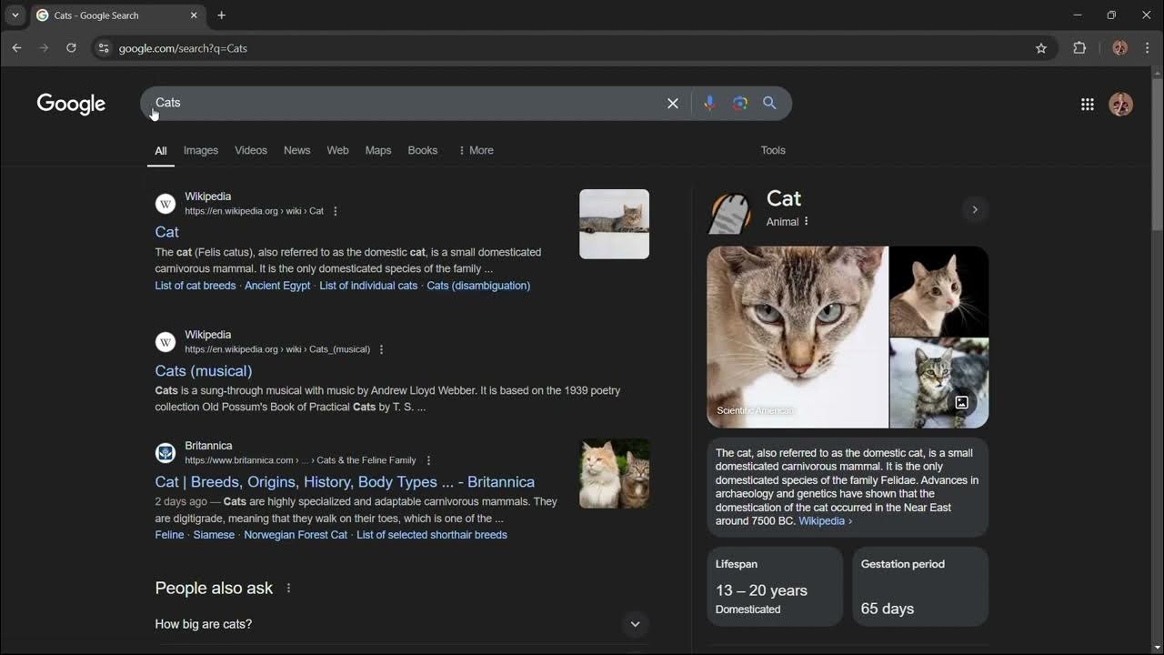 CS50’s Web Programming with Python and JavaScript project 0 | Search # ...