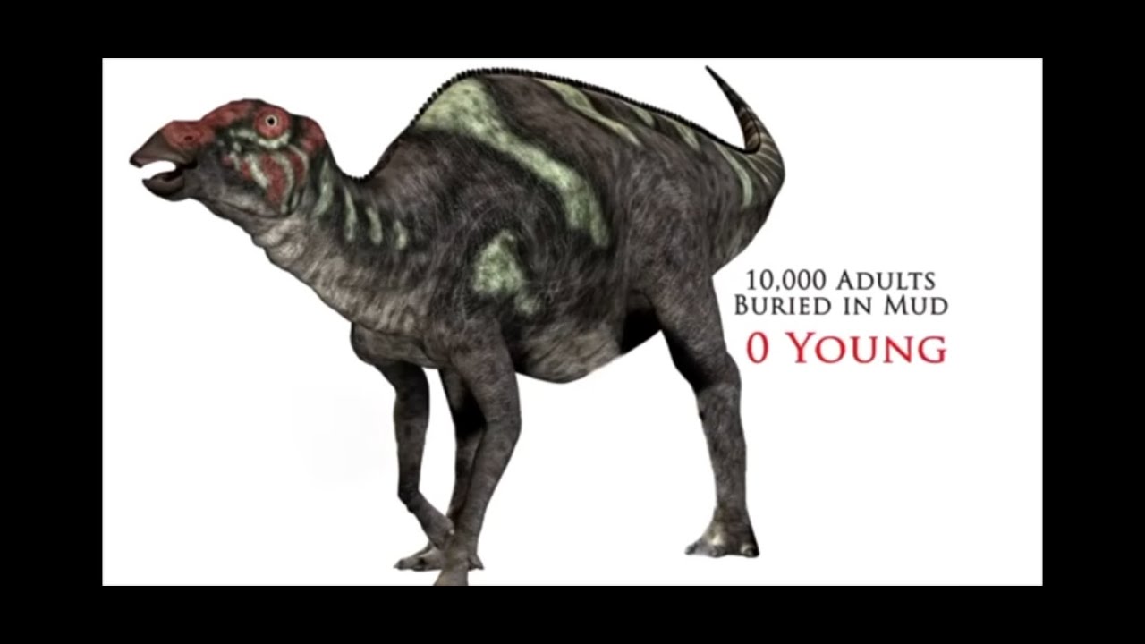 10,000 dinosaurs found buried in mud || BEST PROOF of Noah's Flood!!! 🦕 ...