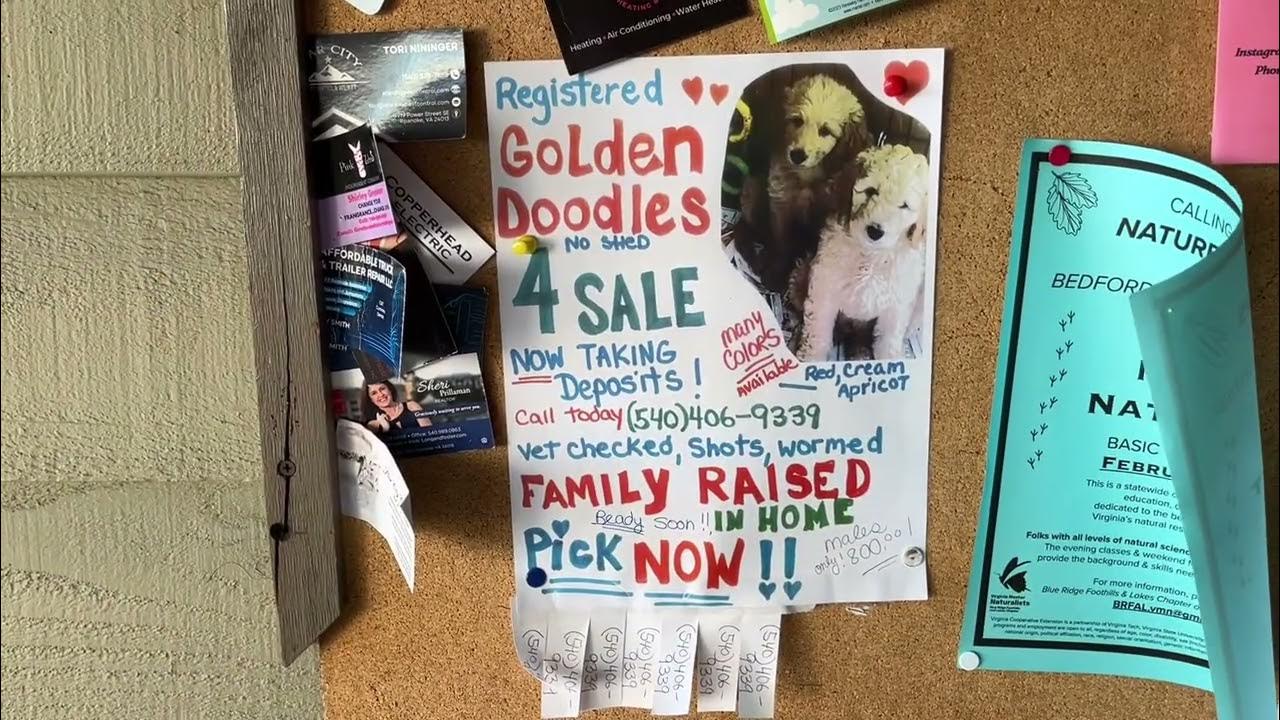 Week 13 Video Assignment - YouTube