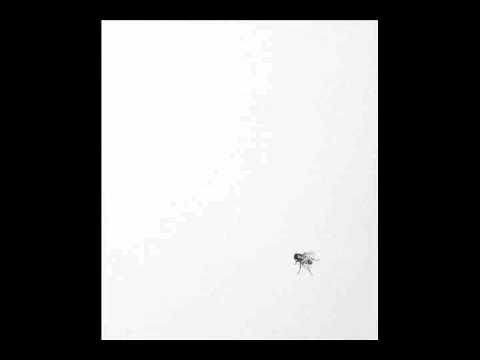 Spoon Fazer - Fly On The Wall - YouTube