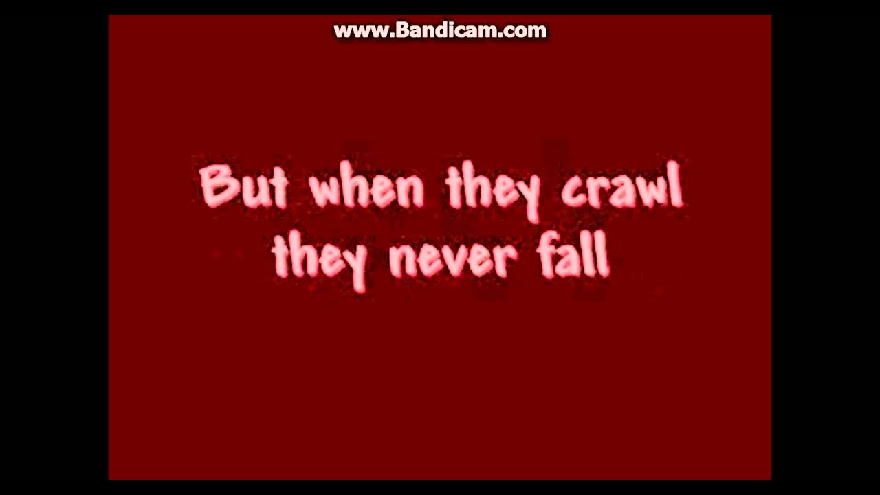 tarantula song ( everybody loves tarantulas ) - YouTube