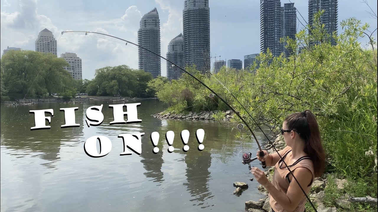 Fishing For Catfish In Toronto (Mom catches bullhead while I catch a ...