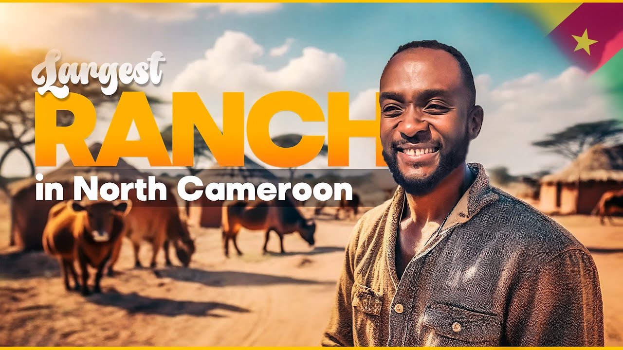 I visited the Largest Ranch in Cameroon - Ranch of Ngoundaba - YouTube