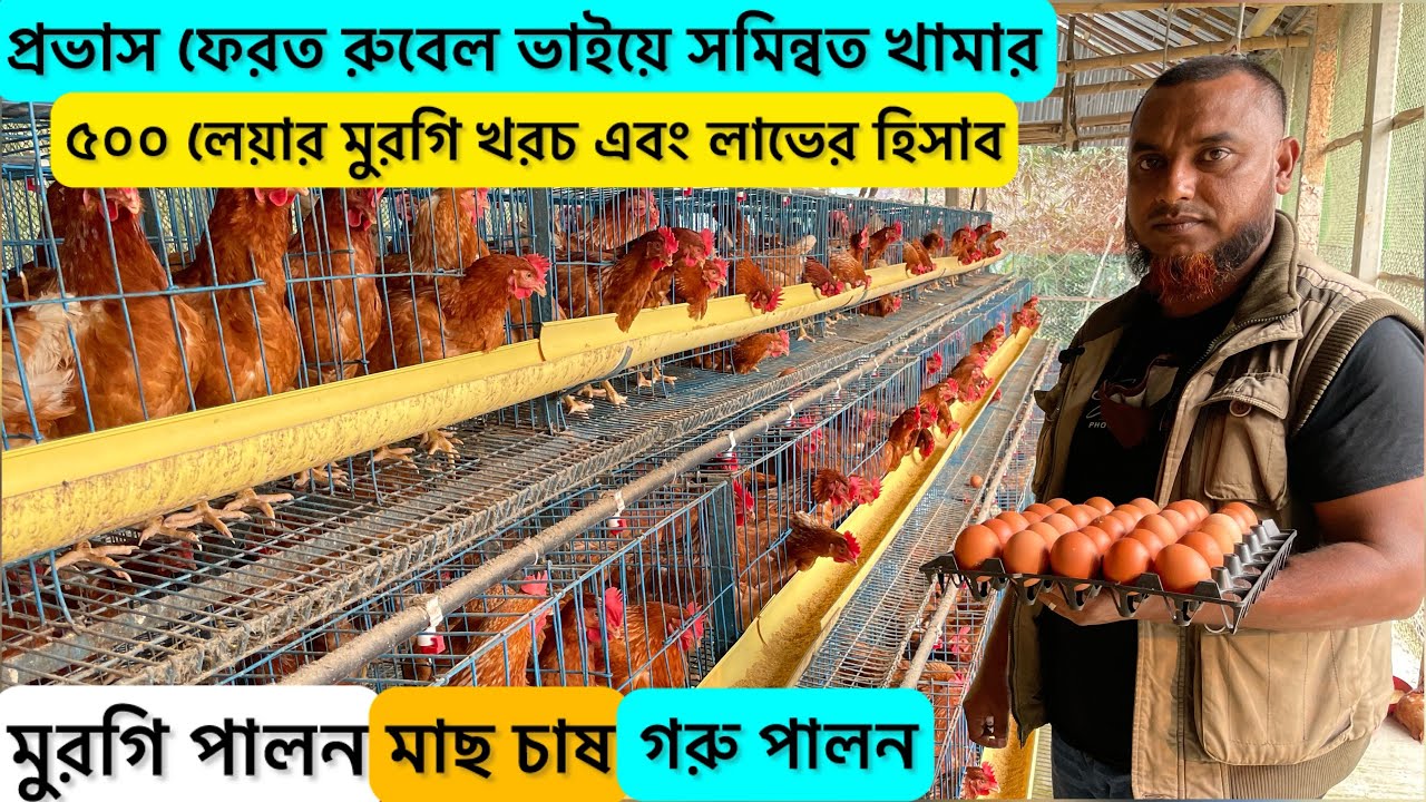 প্রভাস ফেরত রুবেল ভাইয়ের সমিন্বত খামার | লেয়ার মুরগির খামার | layer ...