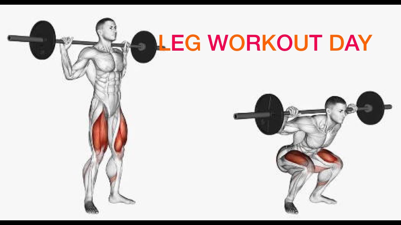 Bigger Leg workout at Gym with Dumbbell, Barbell And Machine - YouTube