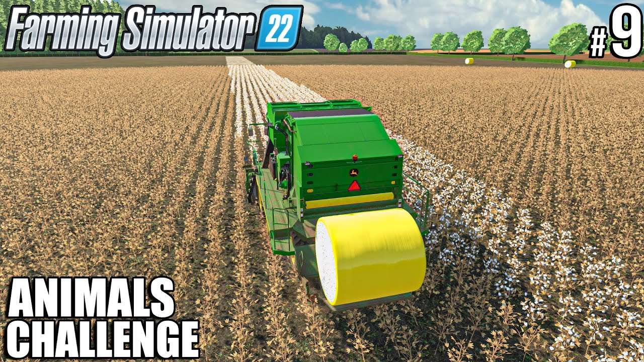 Cotton HARVEST and LOAD with JOHN DEERE CP770 | ANIMALS Challenge ...