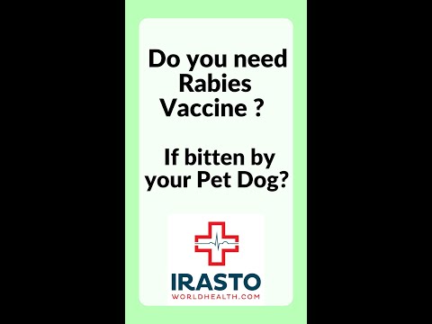 How Much Is Rabies Vaccine For Dogs Without Insurance