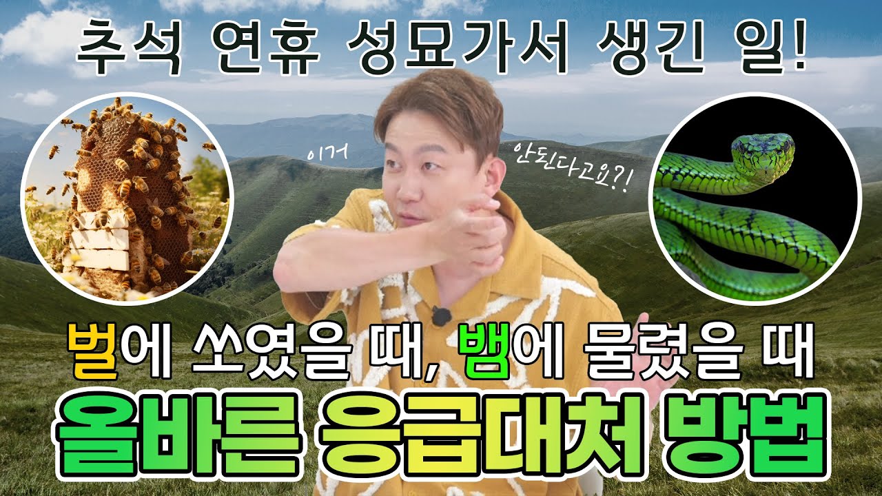 벌에 쏘였을 때 뱀에 물렸을 때 올바른 응급대처 방법 Youtube